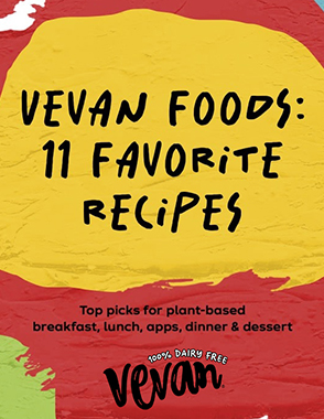 Try Our Delicious Non-Dairy Vegan Cheese Recipes | Vevan